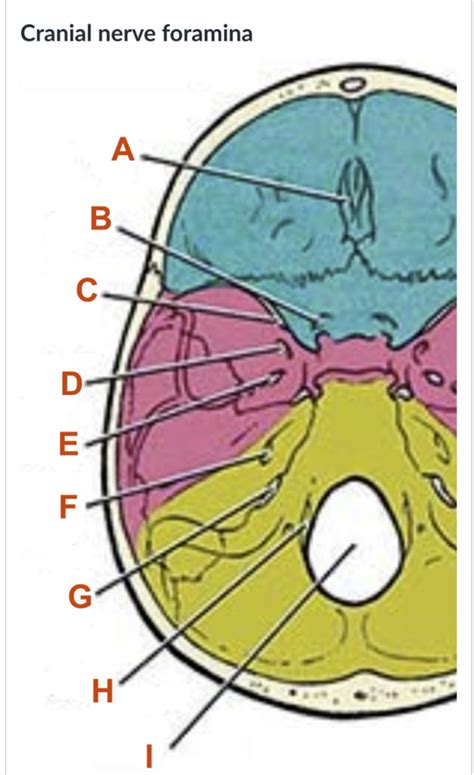 Quiz 6 Part 1 Diagram Quizlet