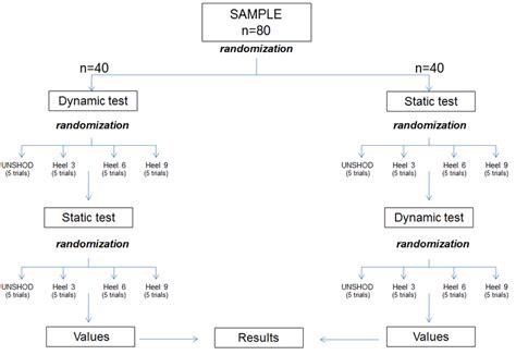 Randomized Flow Chart Download Scientific Diagram
