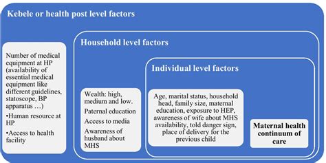 The Conceptual Framework Showing The Multilevel Factors Affecting
