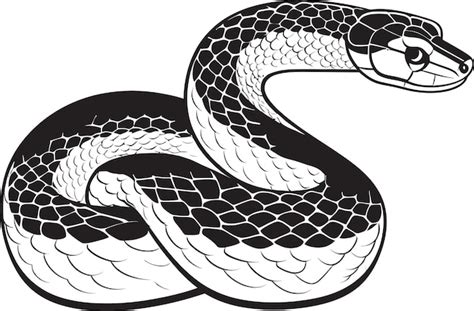Pythons Silent Strength A Captivating Illustration Of Constrictors