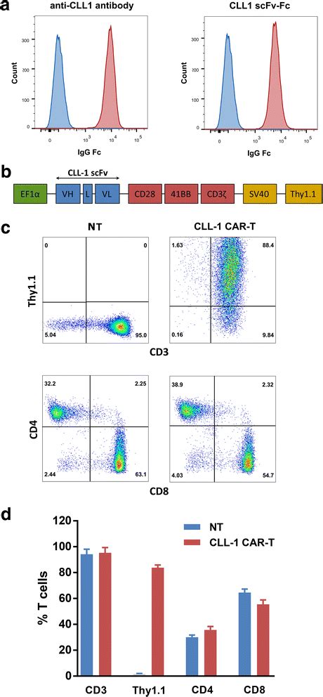 Cll 1 Car Construction And Expression In Primary Human T Cells A Cell