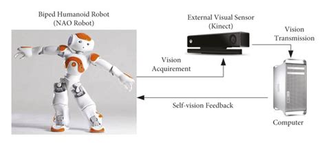 The Way Of Indirect Visual Perception Used In This Paper Download Scientific Diagram