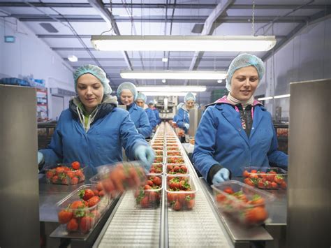 IBM Storage Copy Data Management