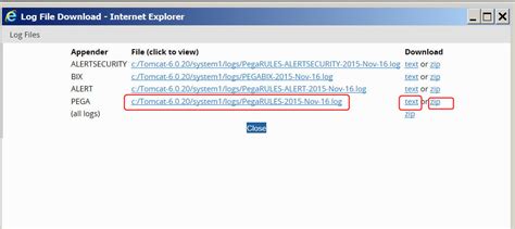 Unable To Access Pega Log File Support Center