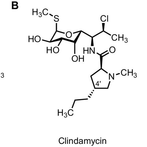 Chemical Structures Of Lincosamide Antibiotics Lincomycin A Download Scientific Diagram