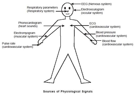 What Is Physiological Physiologic Ph And Buffers Video Anatomy