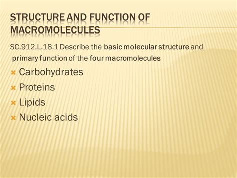 Four Macromolecules And Their Functions