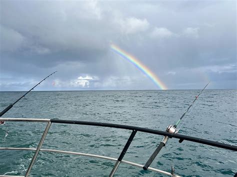 Cabezon Poached In Sprite Album On Imgur