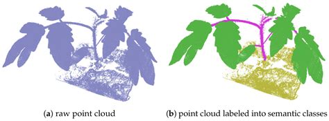 Semantic Segmentation Method for High-Resolution Tomato Seedling Point Clouds Based on Sparse ...