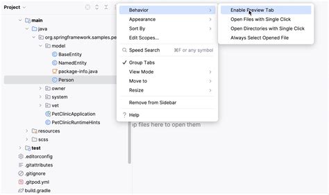 migrate from cursor intellij idea documentation