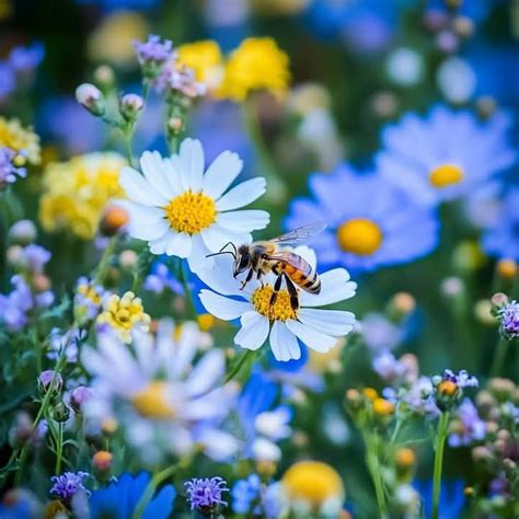 Одинокая 💔 ქვეყნის სამზეოდ და სანათელოდ