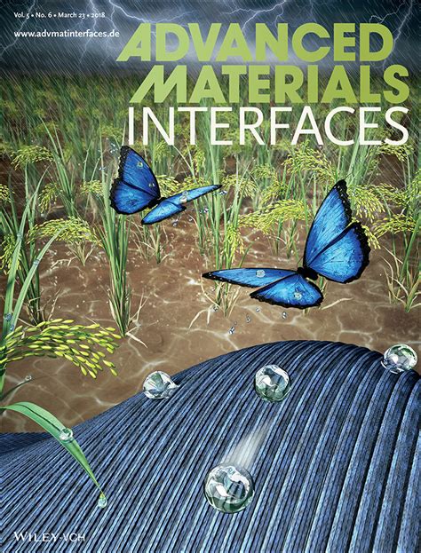 Anisotropic Superhydrophobicity Bioinspired Fabrication Of Bi