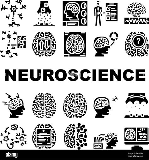 Neuroscience Brain Doctor Medical Icons Set Vector Stock Vector Image And Art Alamy