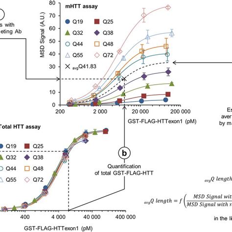 method for htt polyq length quantification htt proteins exhibit a