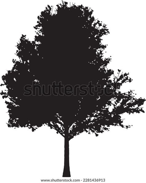 Small Maple Tree Vector Silhouette Stock Vector Royalty Free 2281436913 Shutterstock