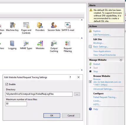 Asp Net Iis Server Error Logs Stack Overflow