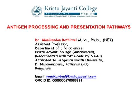 Lecture On Antigen Processing And Presentation Pathways Pdf