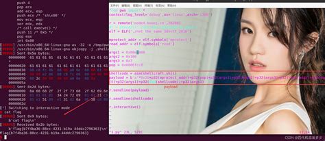 Buuctf Pwn2stopped With Exit Code 11 Csdn博客