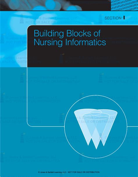 Building Blocks Of Nursing Informatics Docslib