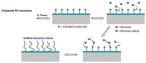 Plasma Surface Engineering Of Natural And Sustainable Polymeric