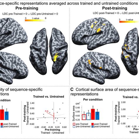 Mvpa Searchlight Results A Pretraining And Posttraining Download Scientific Diagram