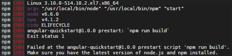Code Error Leads To Npm Run Build Error Rangular2