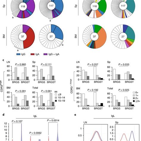 Immunoglobulin Gene Repertoire Of Human Class Switched Memory B Cells Download Scientific