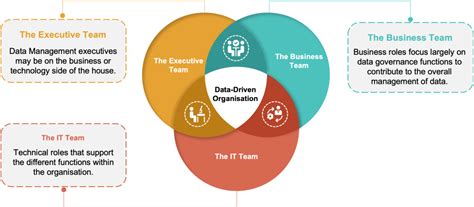 Data 101 The Data Dream Team Exploring The Various Roles In Data Driven Organisations Derilinx