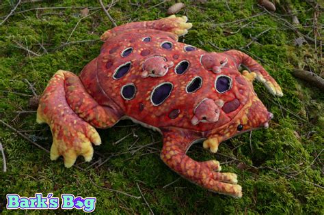 Trypophobia On Tumblr