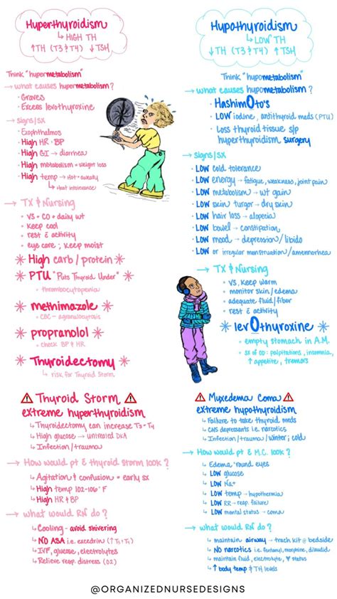 Hypothyroidism Hyperthyroidism Nursing School Notes Nclex Review Artofit