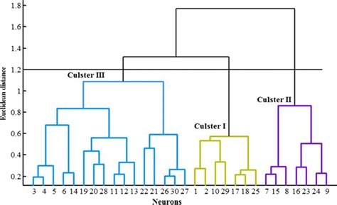Dendrogram Obtained With Hierarchical Classification By Som Download