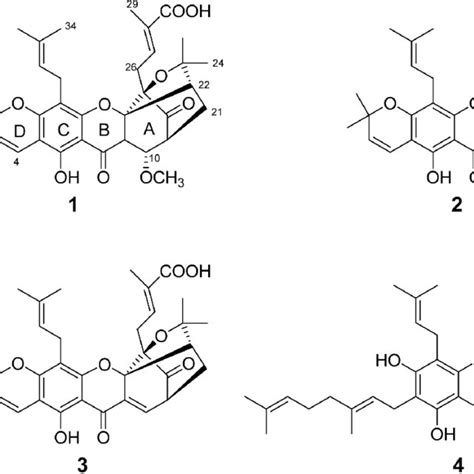 Chemical Structures Of Four Isolated Caged Xanthones 1 4 From The