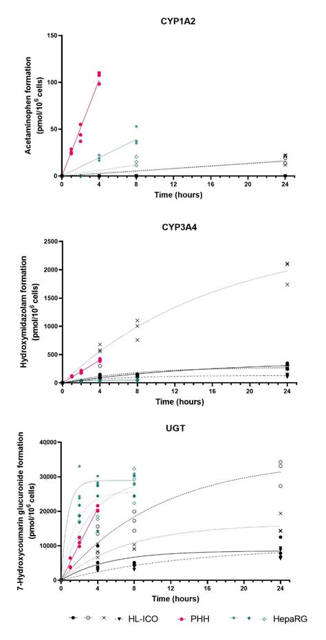 Metabolite Formation As A Measure Of Enzyme Activity In Hepatocyte Like Download Scientific