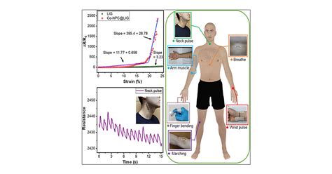 Highly Sensitive And Reliable Piezoresistive Strain Sensor Based On