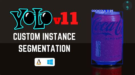 A Comprehensive Guide To Custom Instance Segmentation With Yolov11