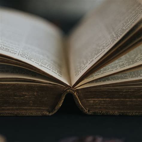 Bbtc Newsletter July 3and4 Pdf