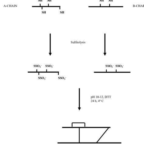 Pdf The Chemical Synthesis Of Insulin From The Past To The Present