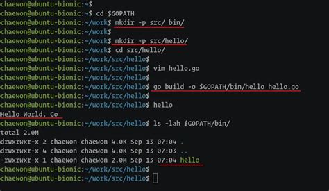 How To Install Go Programming Language On Linux Ubuntudebiancentos