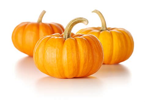 Freshpoint Produce 101 Winter Squash