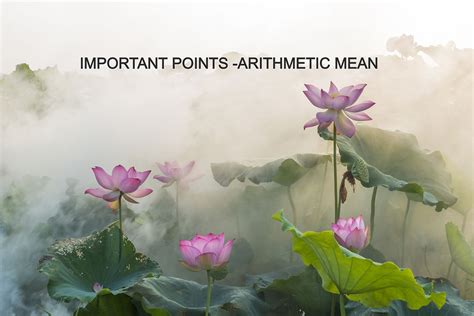 1 Hour Is All You Need To Learn About Arithmetic Mean