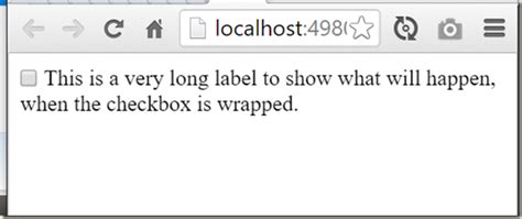 Align Html Input Checkbox And Its Label With Css Knowledgebase