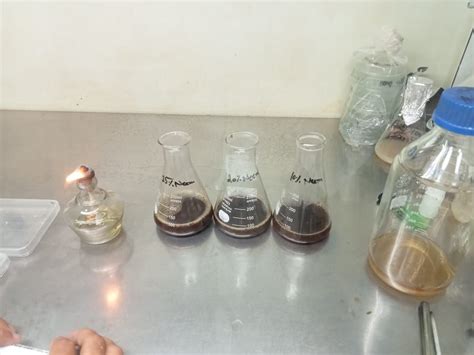 Hafiz Muhammad Zakriya On Linkedin Botanical Extract Used For Control With Differnt Concentartion