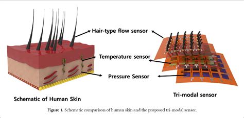 figure 1 from flexible multimodal sensor inspired by human skin based