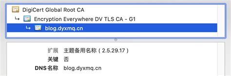 自签名证书报错 err cert common name invalid 的解决方案 起风了