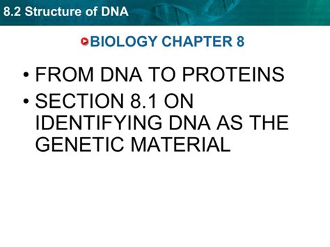 DNA Structure Replication Protein Synthesis Presentation