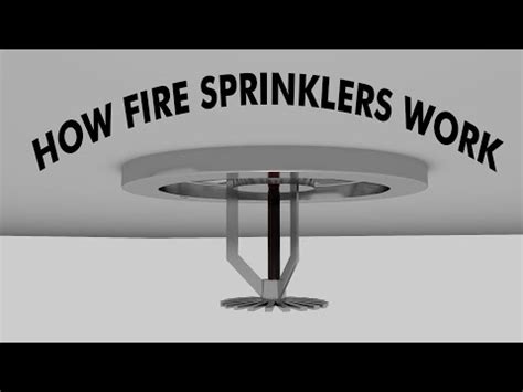What Are The Different Types Of Fire Sprinkler Systems