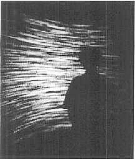 Figure 2 From Auditory Motion Induced By Visual Motion And Its