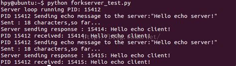 python socket（三）forking 实现网络并发 forkingserver yill h的博客 csdn博客