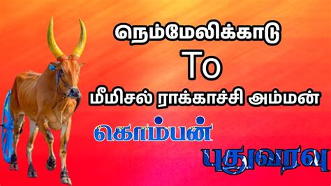 கொம்பன் மீமிசல் ராக்காச்சி அம்மன் புதுவரவு Youtube