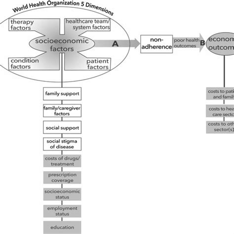 Conceptual Framework Showing A The Effects Of Socioeconomic Factors On